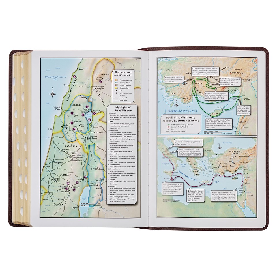 KJV Study Bible, Large Print King James Version Holy Bible, Thumb Tabs ...