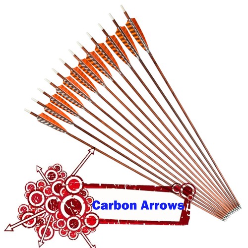 30 inch Archery Carbon Arrows SP400 Wooden Skin Shaft Handmade Natural ...