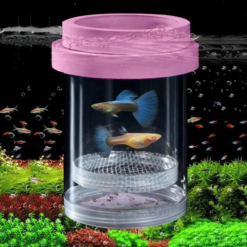 Floating Fish Breeding Isolation Box for Aquarium Tank Plastic Mesh ...