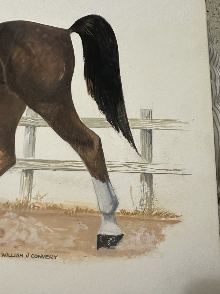 William J. Convery, “Americana” Vintage Horse Portrait Signed Painting ...