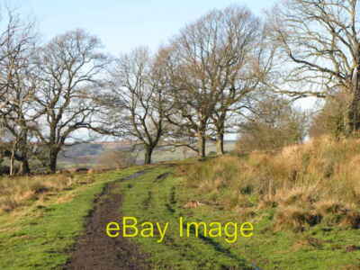 Photo 6x4 The trackbed of the former Hexham to Allendale railway line ...