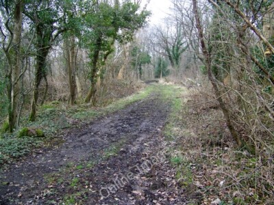 Photo 6x4 Footpath near Waberthwaite Broad Oak/SD1194 The footpath ...