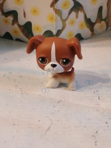 Hasbro LPS Petshop brown dog first generation 5010994804398 | eBay