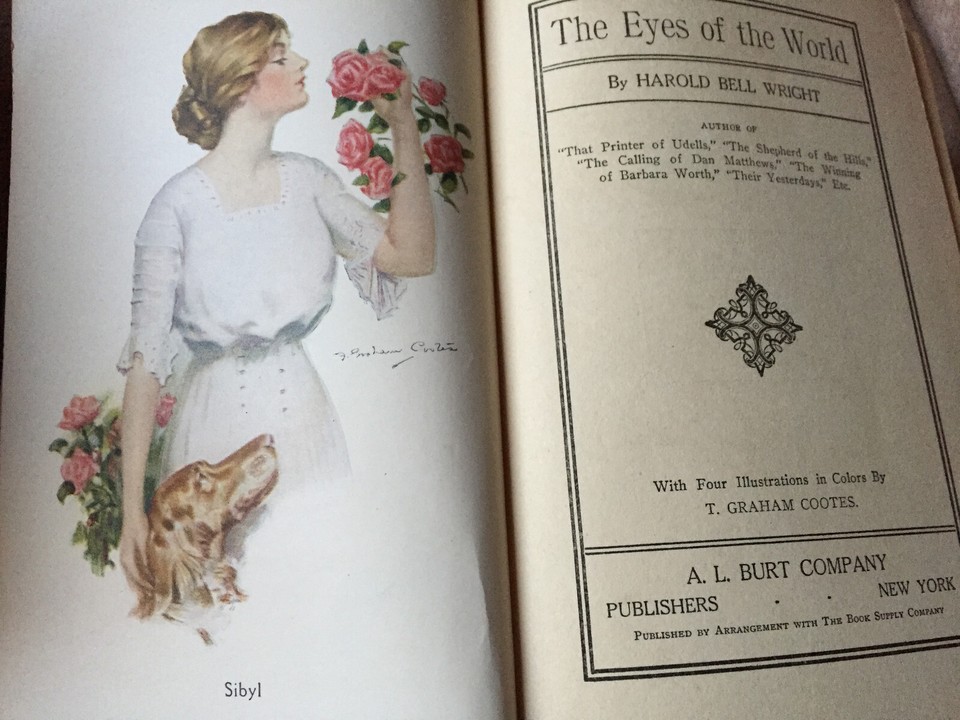 The Eyes of the World - Harold Bell Wright 1914 book | eBay