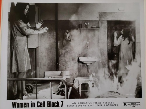 X-Rated Vintage Movie Still "Women In Cell Block 7" | eBay