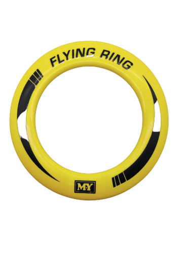 10" Neon Flying Ring Disc Frisbee Kids Summer Beach Outdoor Garden Play ...