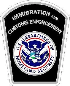 Dhs Ice Logo
