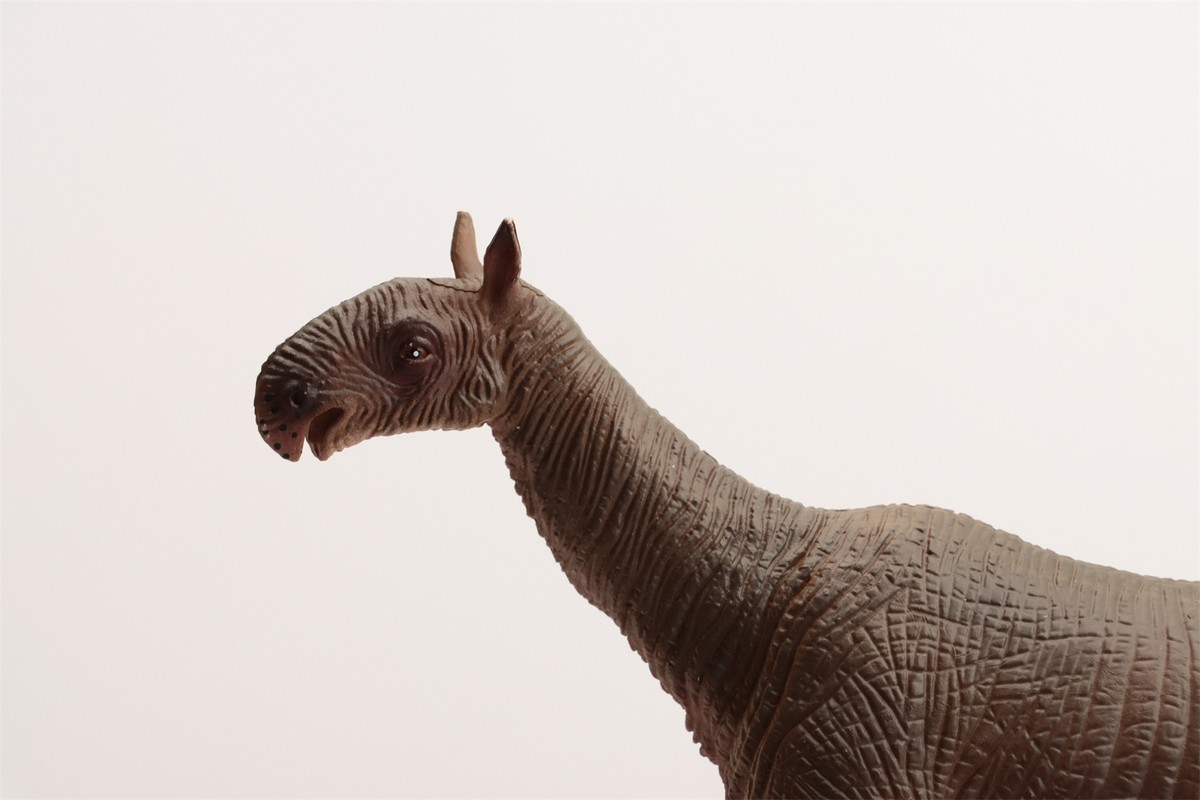 Paraceratherium