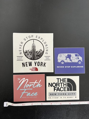 THE North Face New York City Never Stop Exploring Van Pack Climb Ski ...