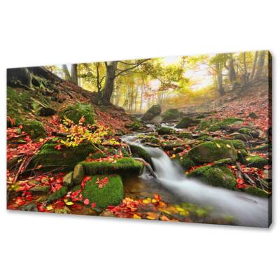 Colourful Autumn Forest River Stream Wall Art Canvas Unframed Print Art ...