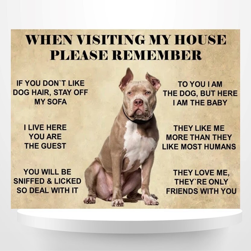 American Bully Dog Quotes Americanbullyofficial #americanbully
