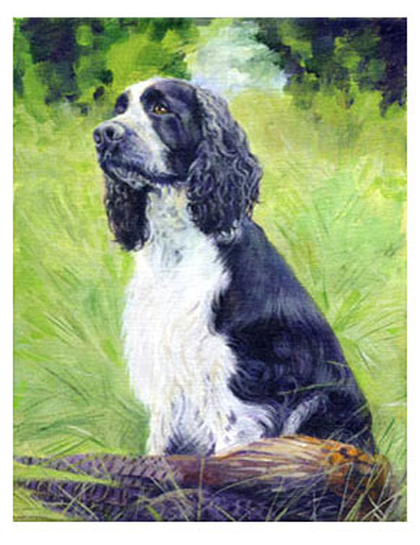 artav English Springer Spaniel Art Print of Acrylic | eBay