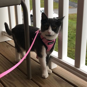 Scully Family Finds | eBay Stores