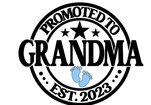 PROMOTED TO GRANDMA VINYL DIECUT DECAL CAR TRUCK TUMBLER STICKER ...