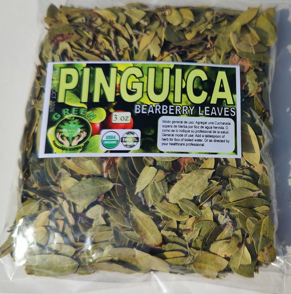 pinguica hojas, pointleaf manzanita,arctostaphylos, Bearberry leaves ...