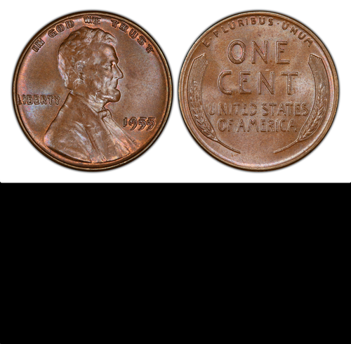 1955 PCGS MS65 Doubled Die Obverse KEY 1c DDO Lincoln Cent | eBay