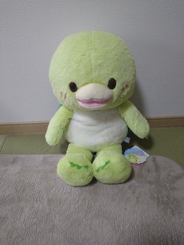 Star turtle Vel plush toy turtle | eBay