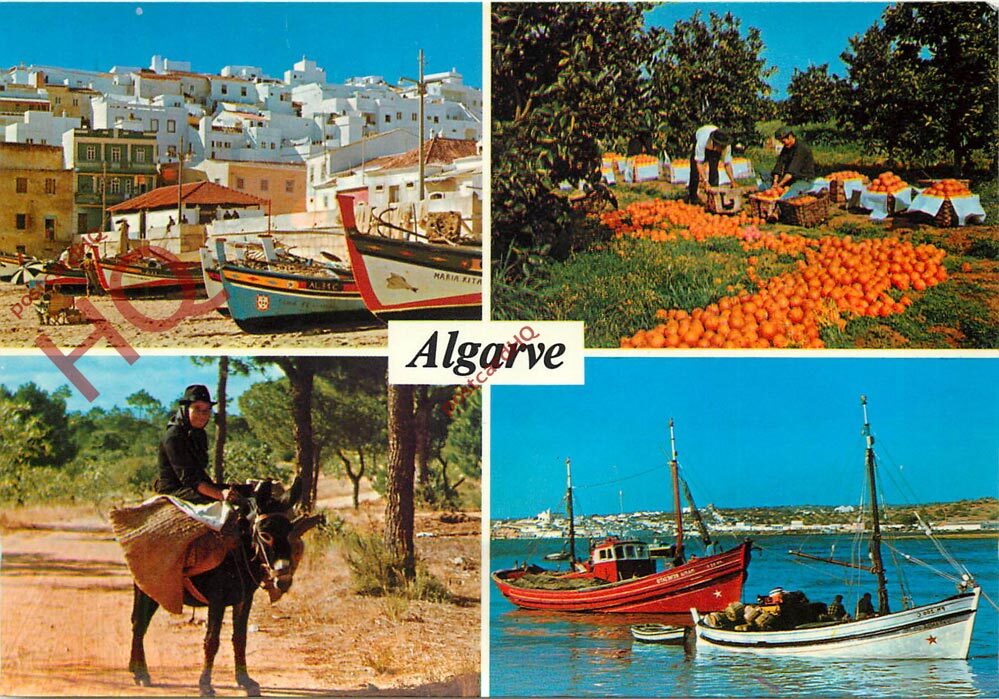 Picture Postcard, Algarve (Multiview) | eBay