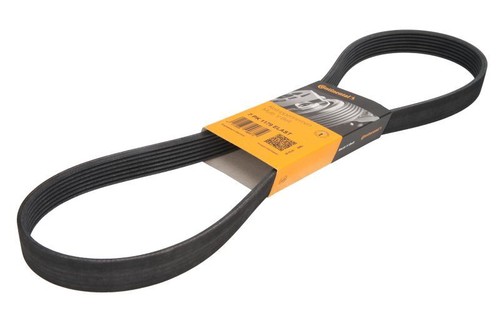 Fits CONTITECH 7 PK 1179 ELAST V-Ribbed Belt DE stock | eBay.de