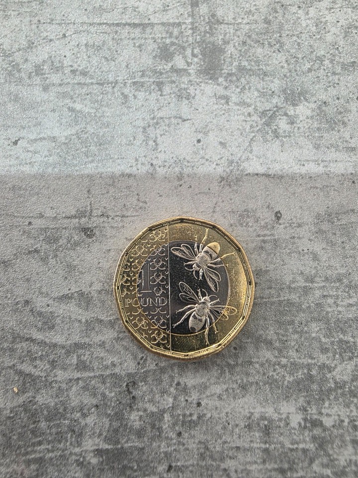 2023 King Charles III Bees £1 Coin One Pound BUNC with Privy Mark | eBay UK