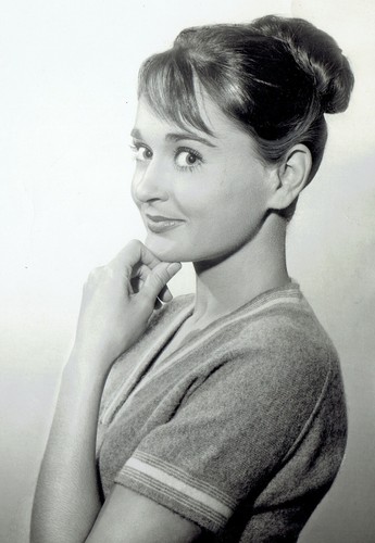 1960 Press Photo Belgian Actress Roxane Berard on "Markham" TV Show on ...