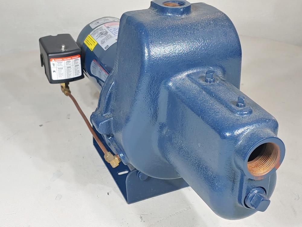 Franklin Electric Shallow Well VersaJet Series Jet Pump FVJ1CI-P (A) | eBay