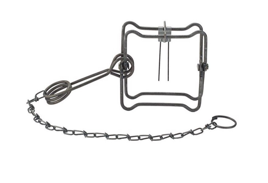 Duke #110 Body-Grip Animal Trap 1 H x 5.5 W x 5.5 D in. for Minks ...