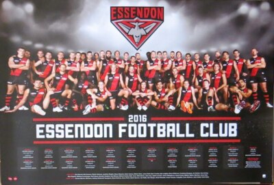 AFL - 2016 Team Poster-Laminated availables Essendon-Poster-Laminated ...