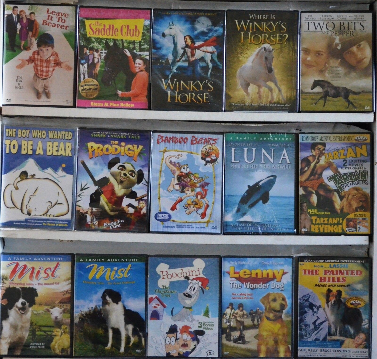 Inventory liquidation Wholesale Lot of 100 New DVD Assorted Bulk No ...