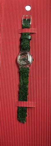 Swatch Garden Turf SKZ103 Vintage Watch Club | eBay