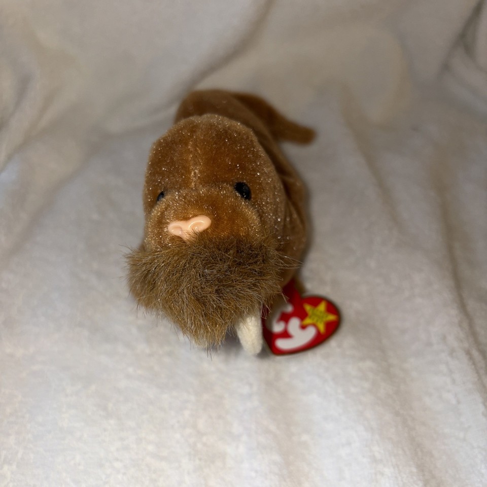Ty Beanie Baby Paul the Walrus Plush With Errors ‼️1999 | eBay