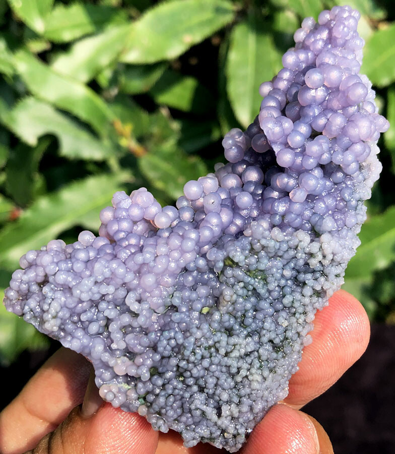 118g Natural Botryoidal Chalcedony Starlight Purple Grape Agate ...