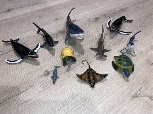 safari ltd sea animals Lot Of 10 | eBay