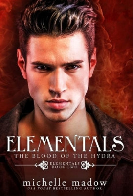 Michelle Madow Elementals 2 (Hardback) Elementals 9780578988566 | eBay