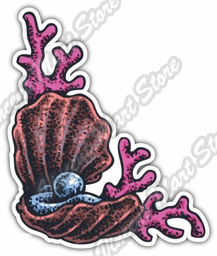 Pearl Shell Shellfish Mollusk Coral Ocean Car Bumper Vinyl Sticker ...