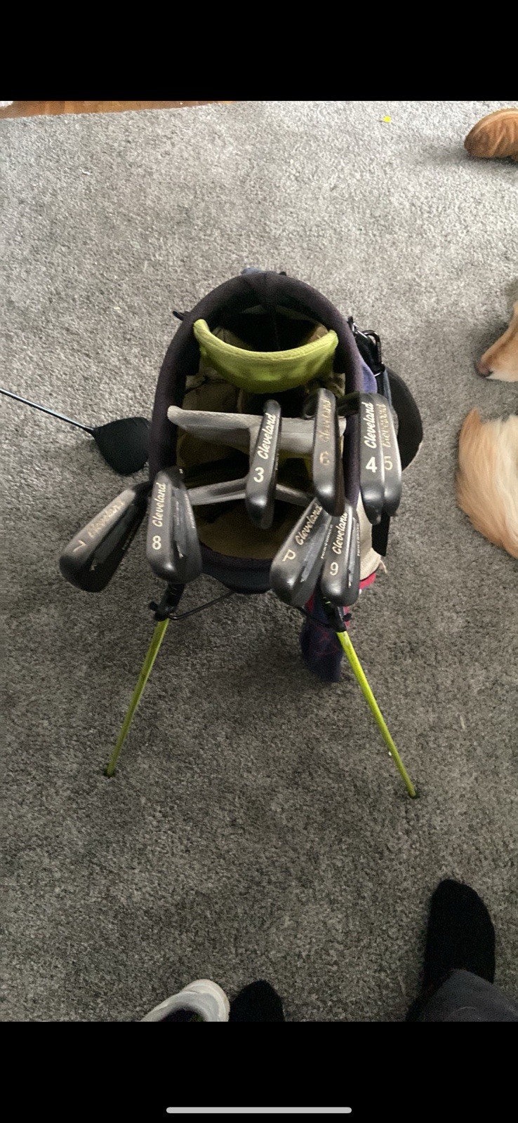 Cleveland TA1 Tour Action RH Gun Metal Irons 3,4,5,6,7,8,9,P Dyn. Gold ...