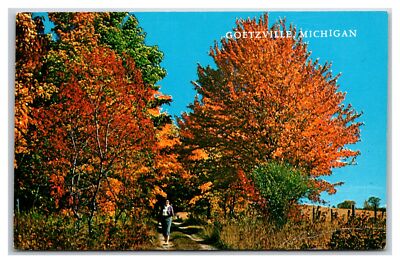 GOETZVILLE Michigan ~ Hiking trail ~ Fall colors | eBay