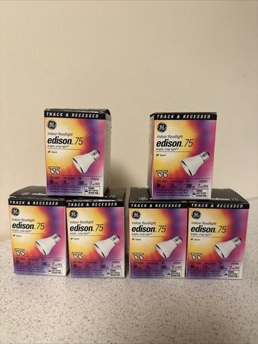 6 - GE Edison 75w Indoor Floodlight Track & Recessed Lighting Bulb 75 ...