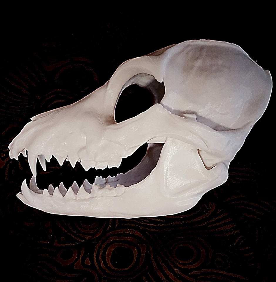 Fox Skully V4 Advanced Wearable Skull Mask Costume Skulldog Fursuit ...