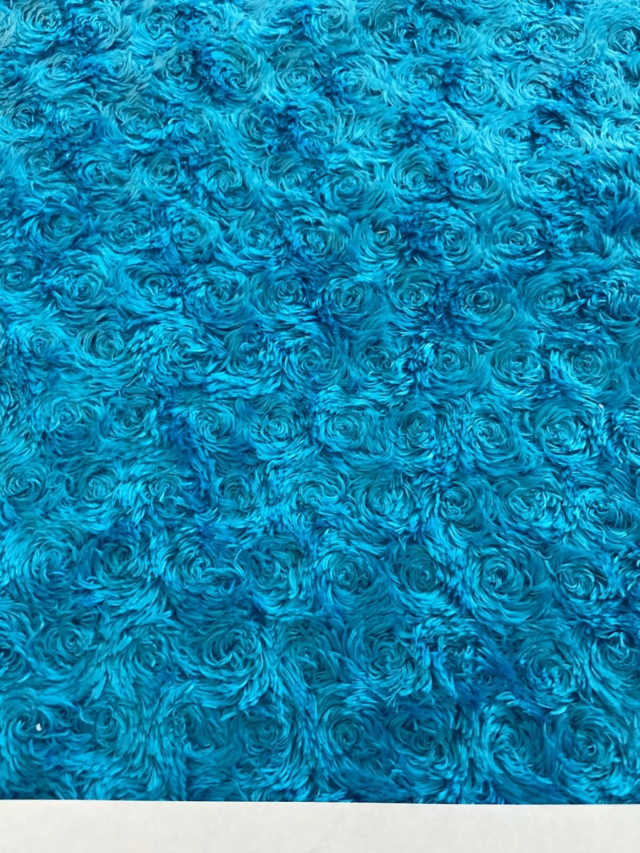 Minky Swirl Fabric
