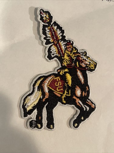 FSU Florida State University 1851 Embroidered Iron On Patch 3.5” x 2.25 ...