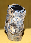 Two Faces Polished Petrified Agatized Wood Tree Trunk W Branch 3Lbs ...