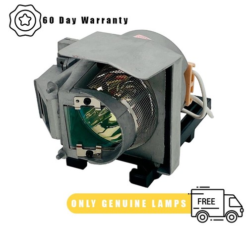Genuine OPTOMA Original Projector Lamp Bulb for Optoma X307UST X307USTi ...