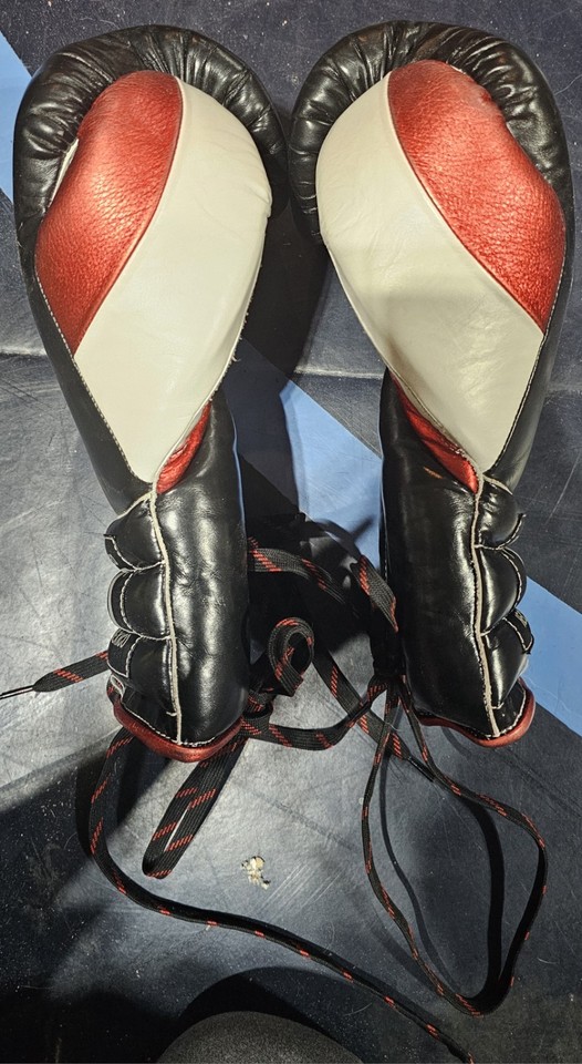 BOXEO TM 16OZ BOXING GLOVES | eBay