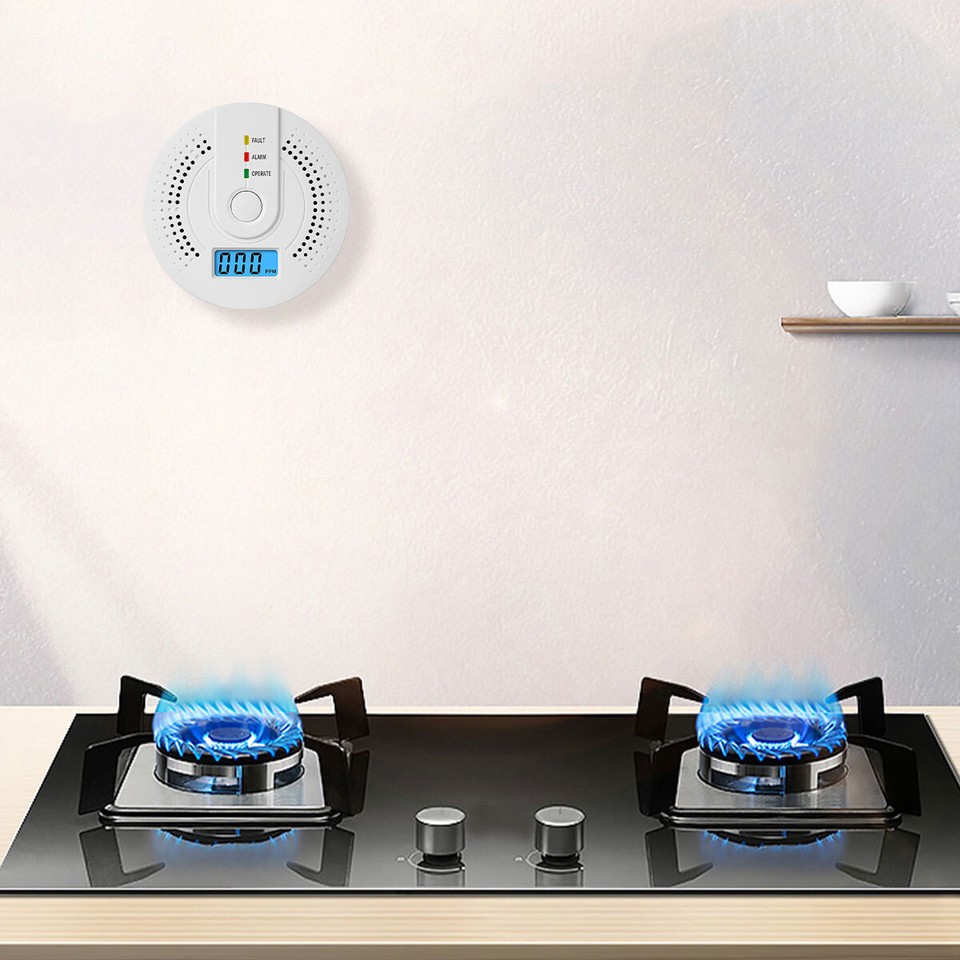 Carbon Monoxide Detector Warning Alarm Sensor LED Digital Battery ...