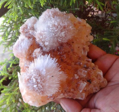 Mesolite Flower On Apophyllite Stilbite Rock Crystals & Mineral ...
