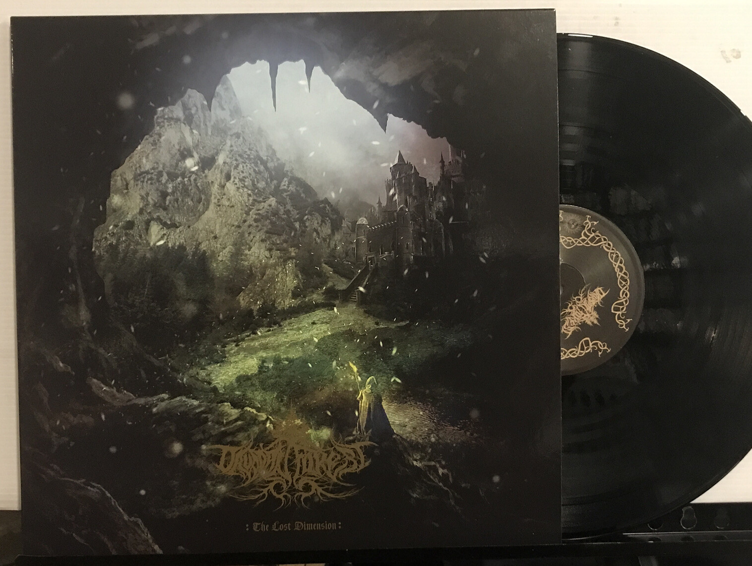 Druadan Forest – The Lost Dimension LP 2018 Wolfspell Records – Spell 009V NM/NM | eBay