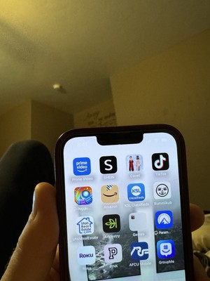 iPhone 13 Pro With Tik Tok Installed | eBay