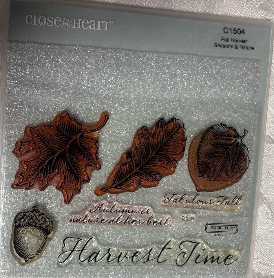 3 CTMH Stamps ~ S1209 Fall Favorites, C1504 Fall Harvest, D1550 Happy ...