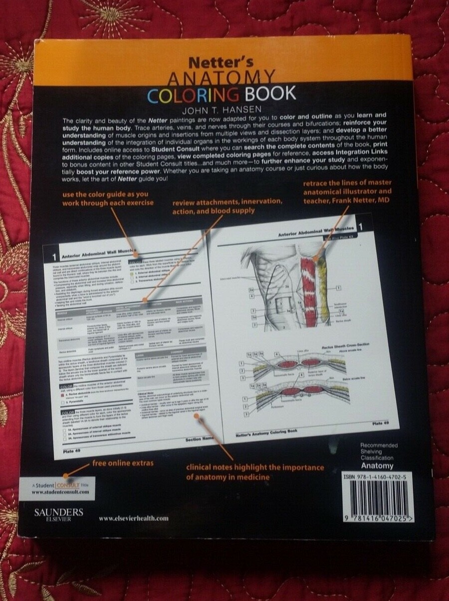 Netter's Anatomy Coloring Book Diagrams Educational John T. Hansen ...